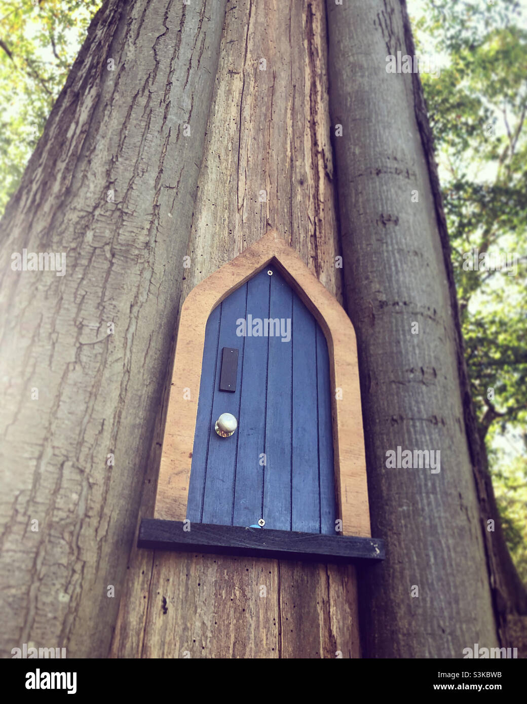 Fairy doors hi-res stock photography and images - Alamy