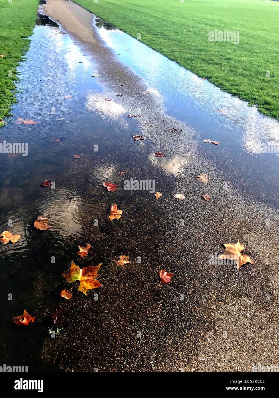 Waterlogged pathway hi-res stock photography and images - Alamy