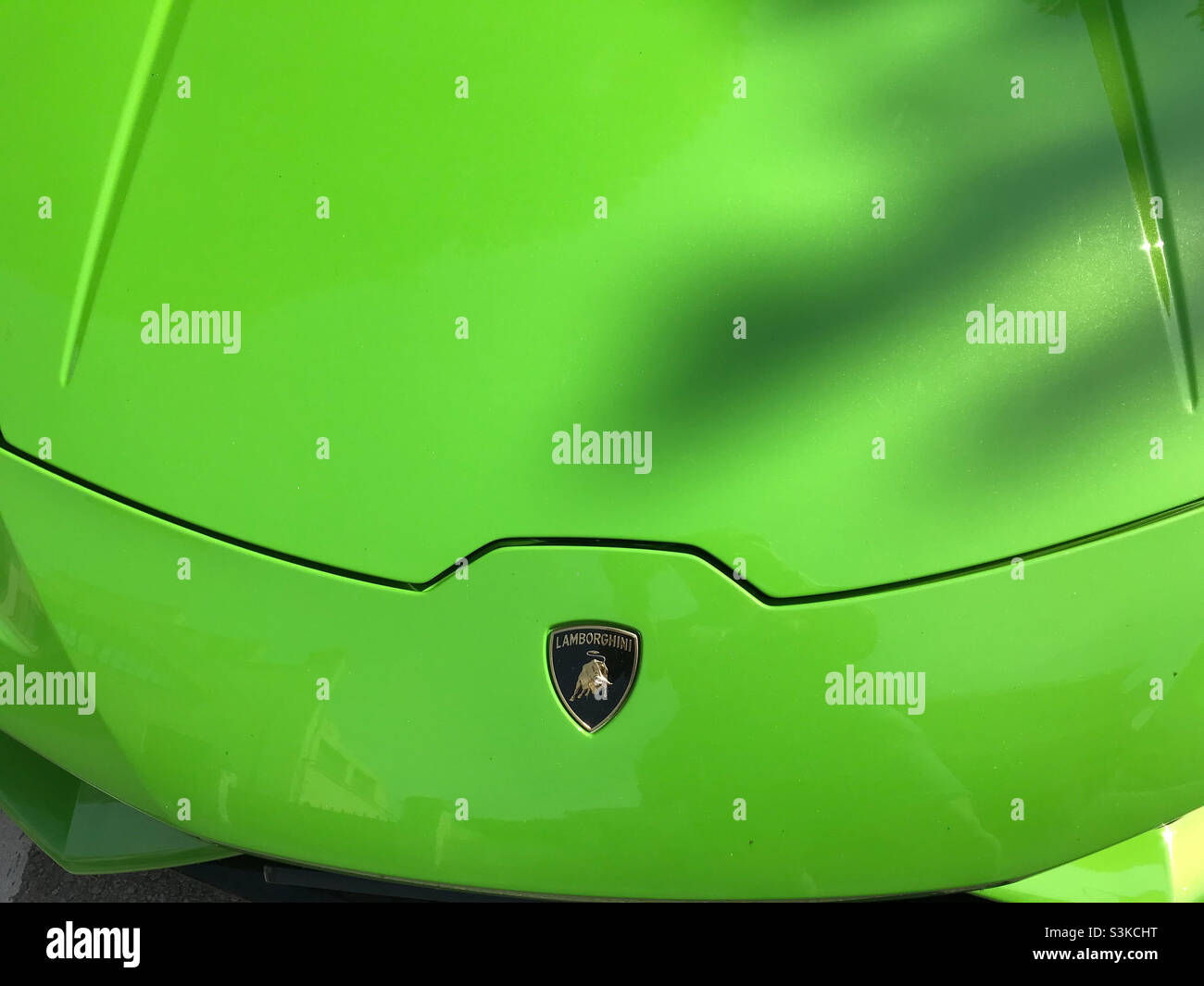 Close view of Lamborghini hood Stock Photo - Alamy