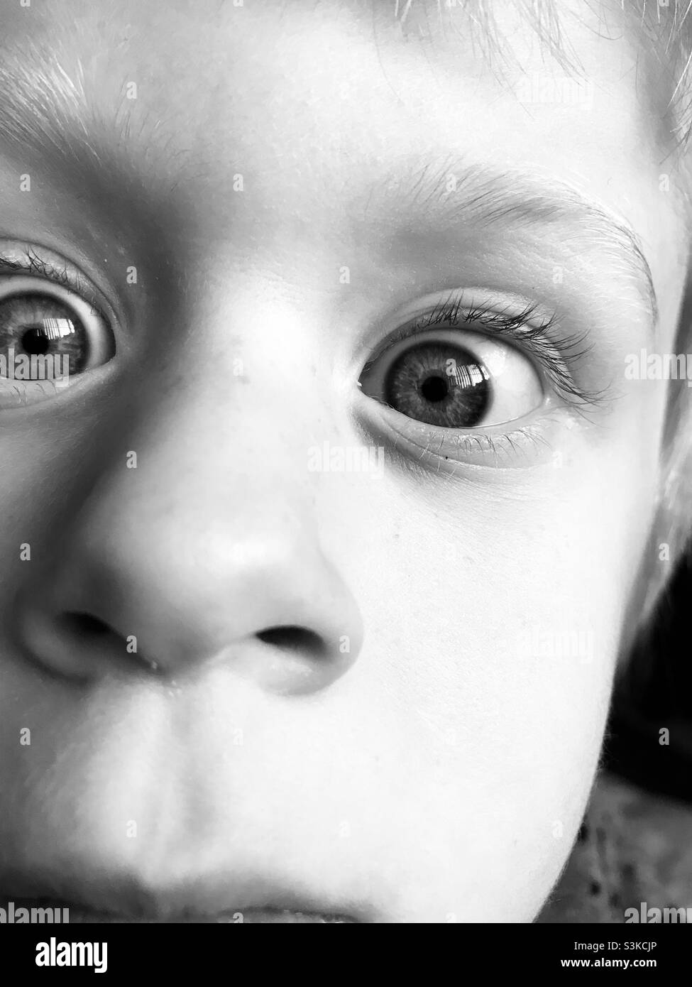 Stares at camera hi-res stock photography and images - Alamy