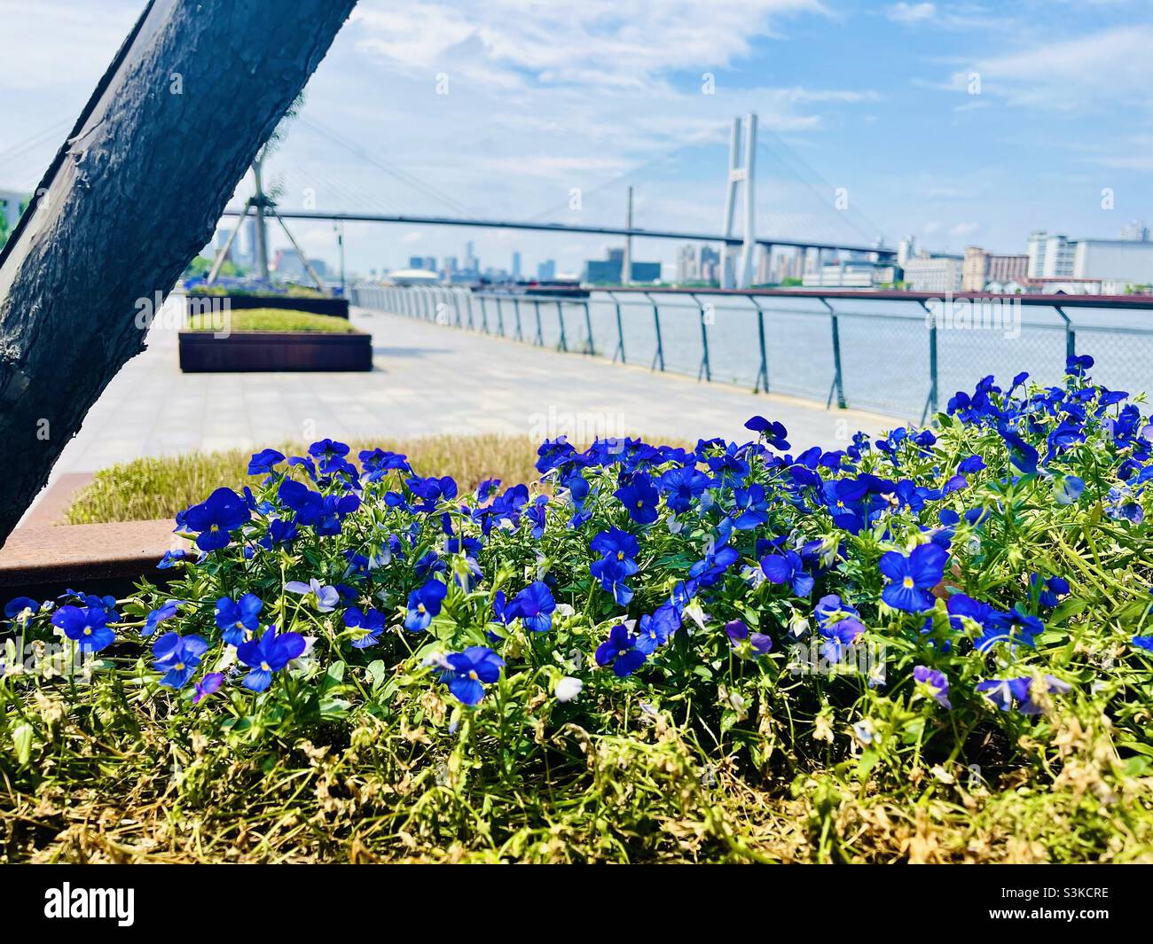 The most beautiful angle hi-res stock photography and images - Alamy