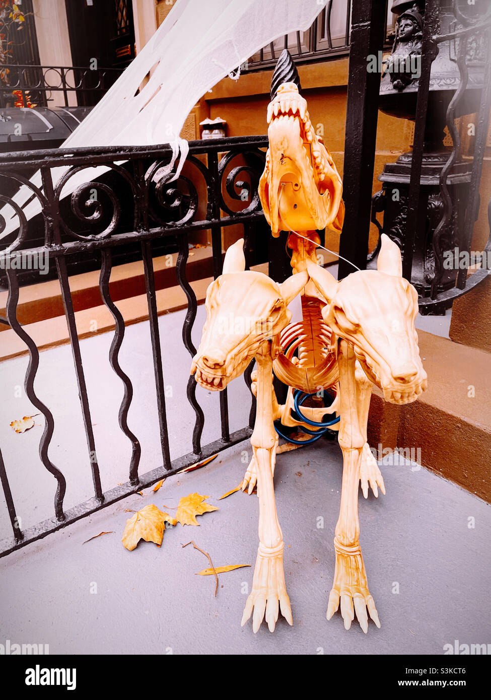 3 headed dog skeleton Halloween display on a brownstone in Murray Hill ...