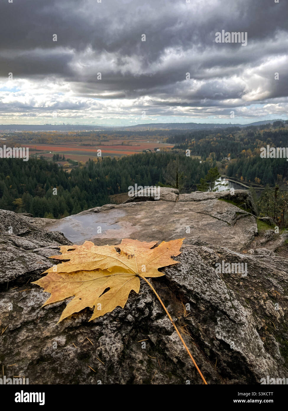 Vancouver maple leaf hi-res stock photography and images - Alamy