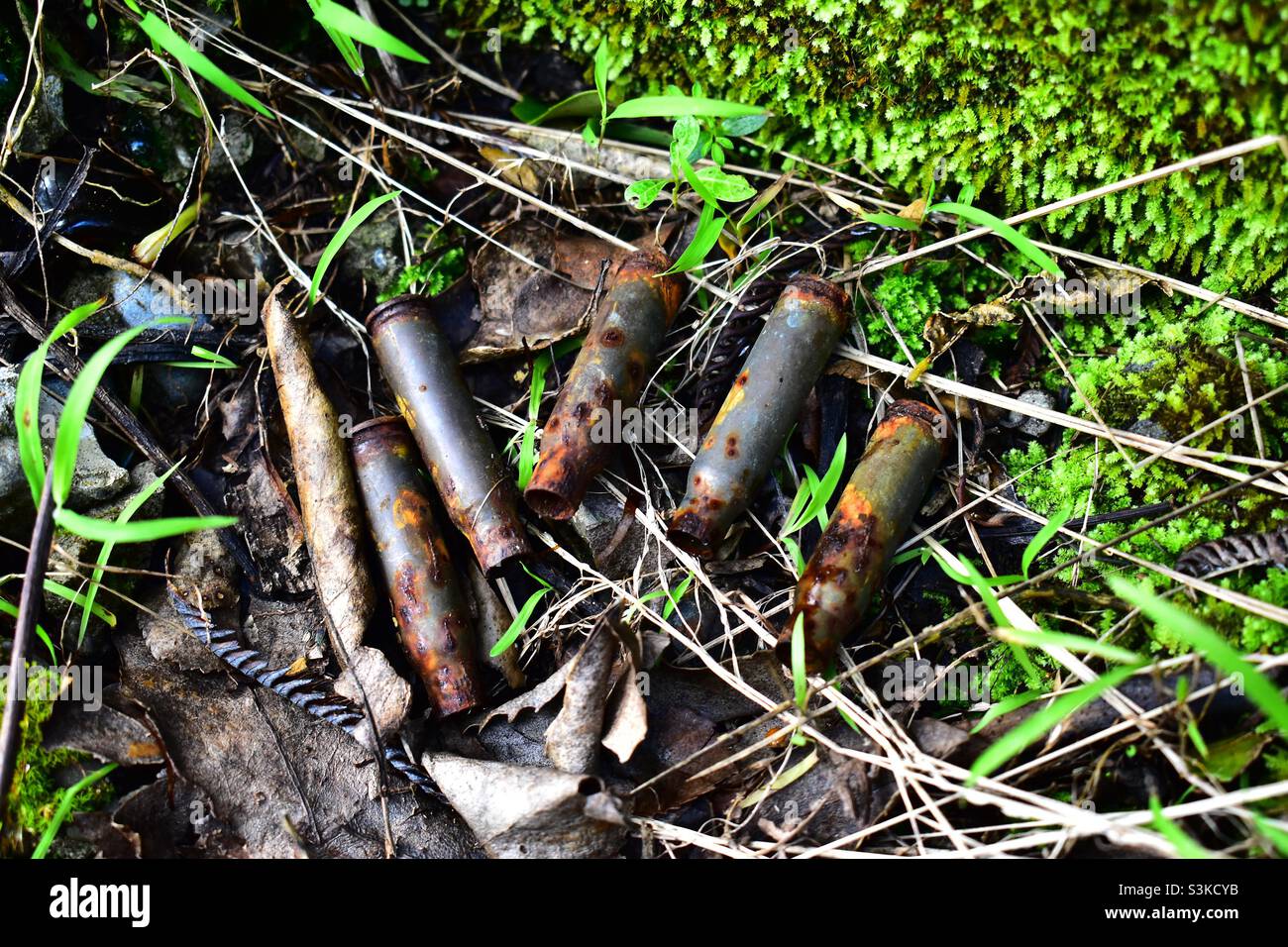 Spent rounds hi-res stock photography and images - Alamy