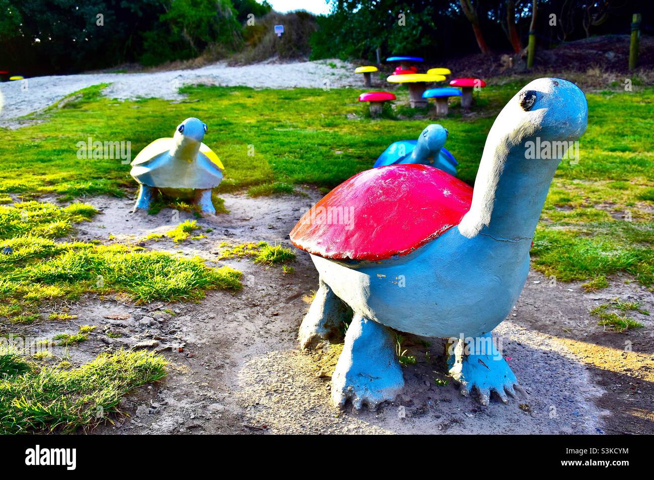 Concrete turtle hi-res stock photography and images - Alamy