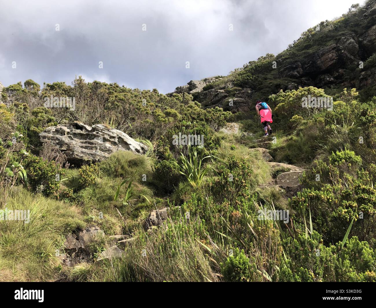 Saddle mountain trail hi-res stock photography and images - Alamy