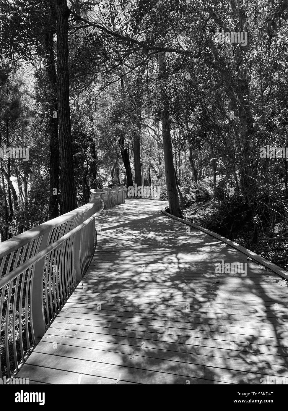 Timber pathway hi-res stock photography and images - Alamy