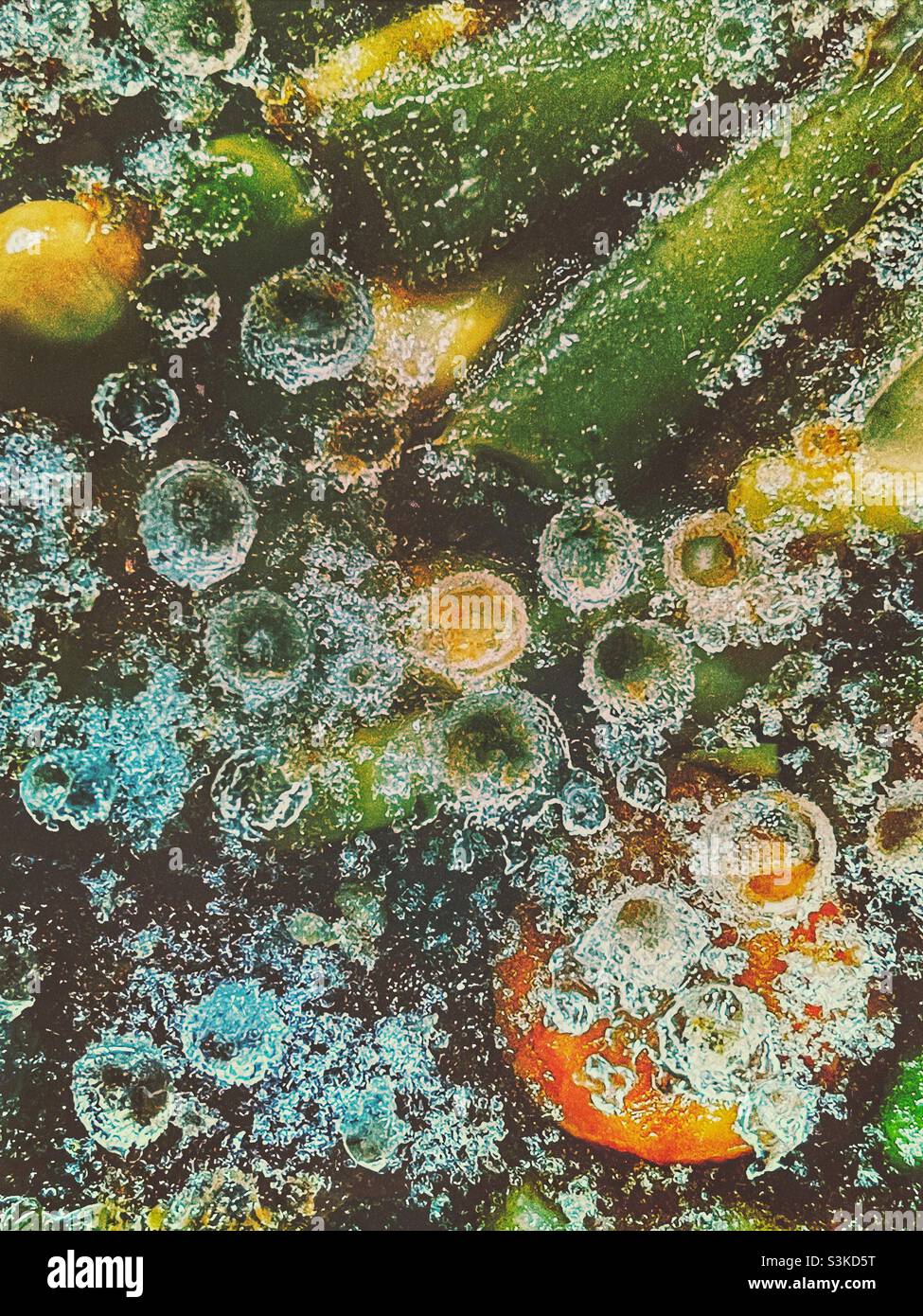 Frozen homemade vegetable soup defrosting in the refrigerator with ice ...