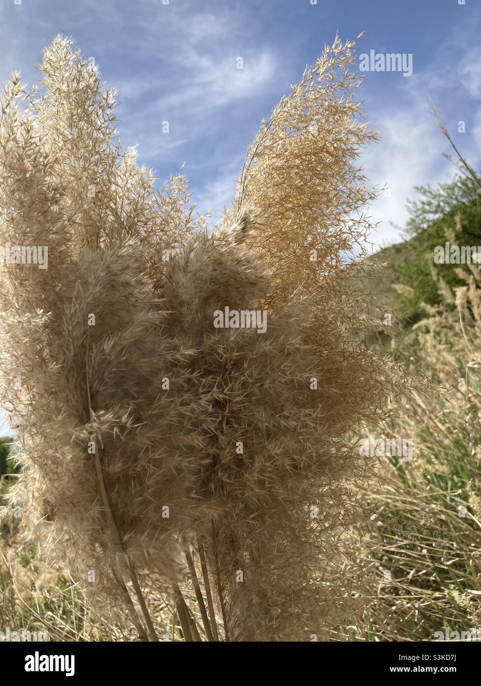 Breeze wind hi-res stock photography and images - Alamy