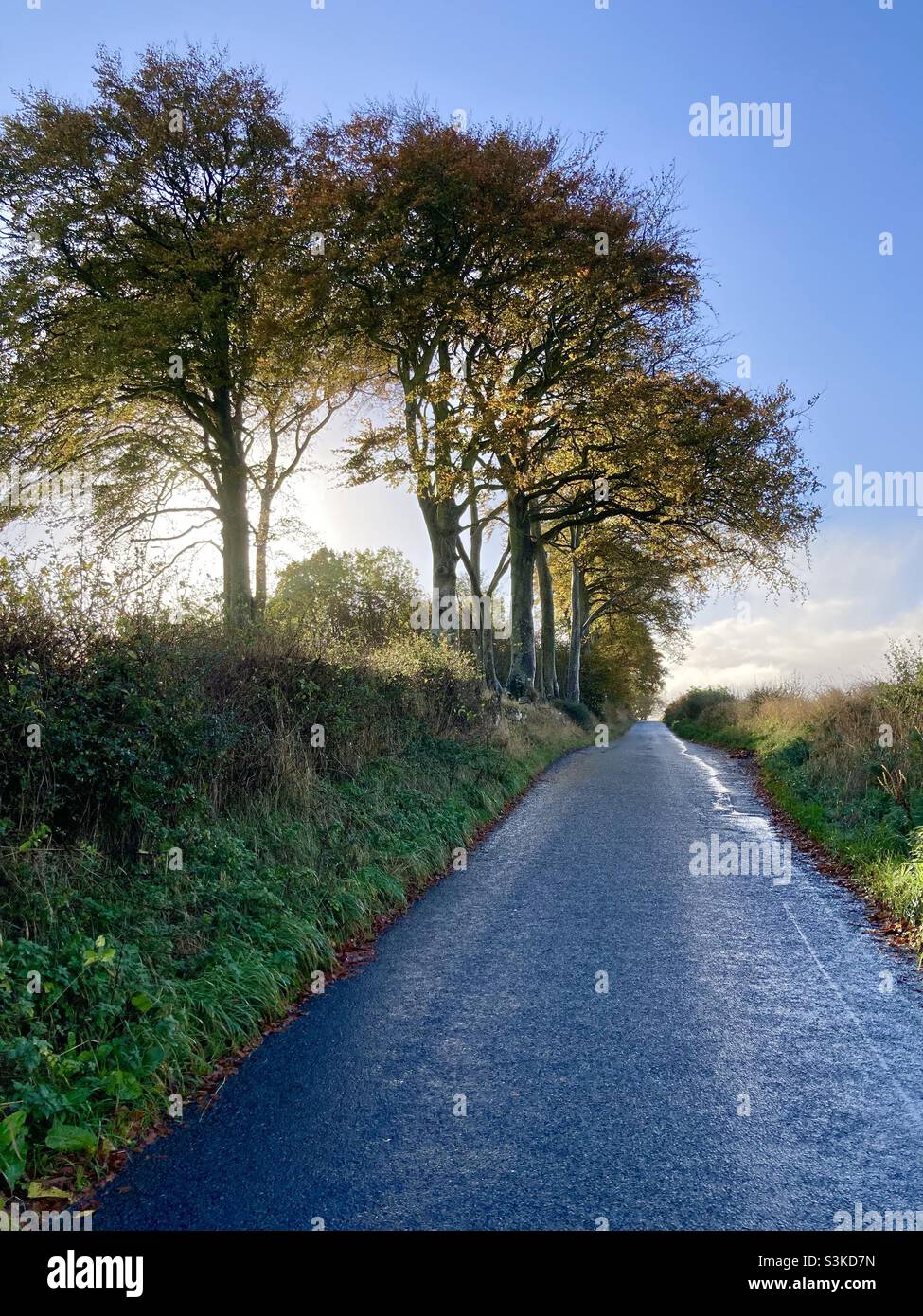 Country roads hi-res stock photography and images - Alamy
