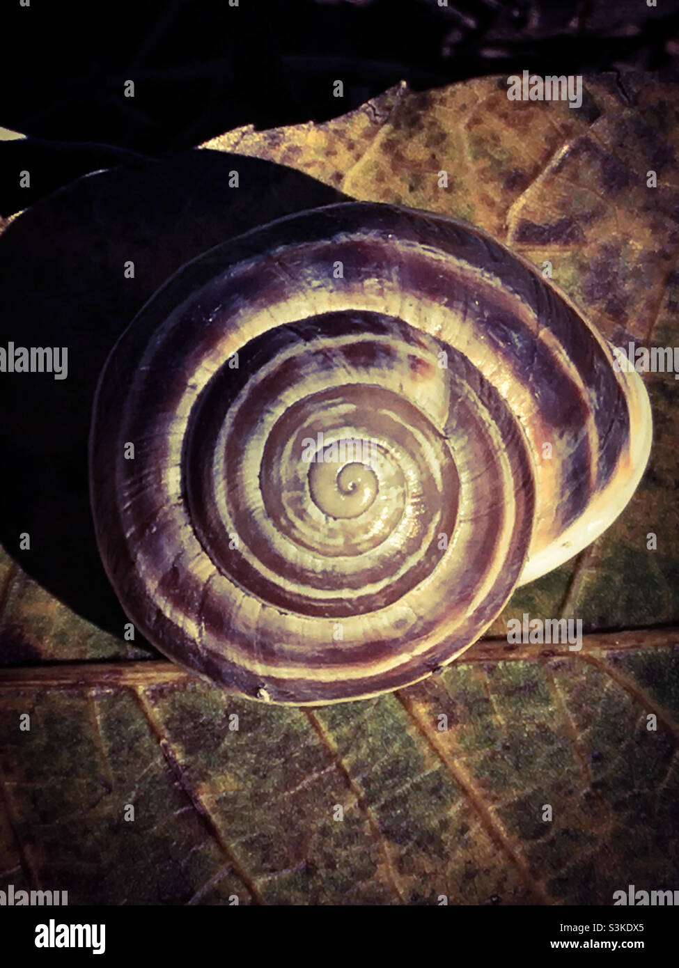 Gardening for animals hi-res stock photography and images - Alamy