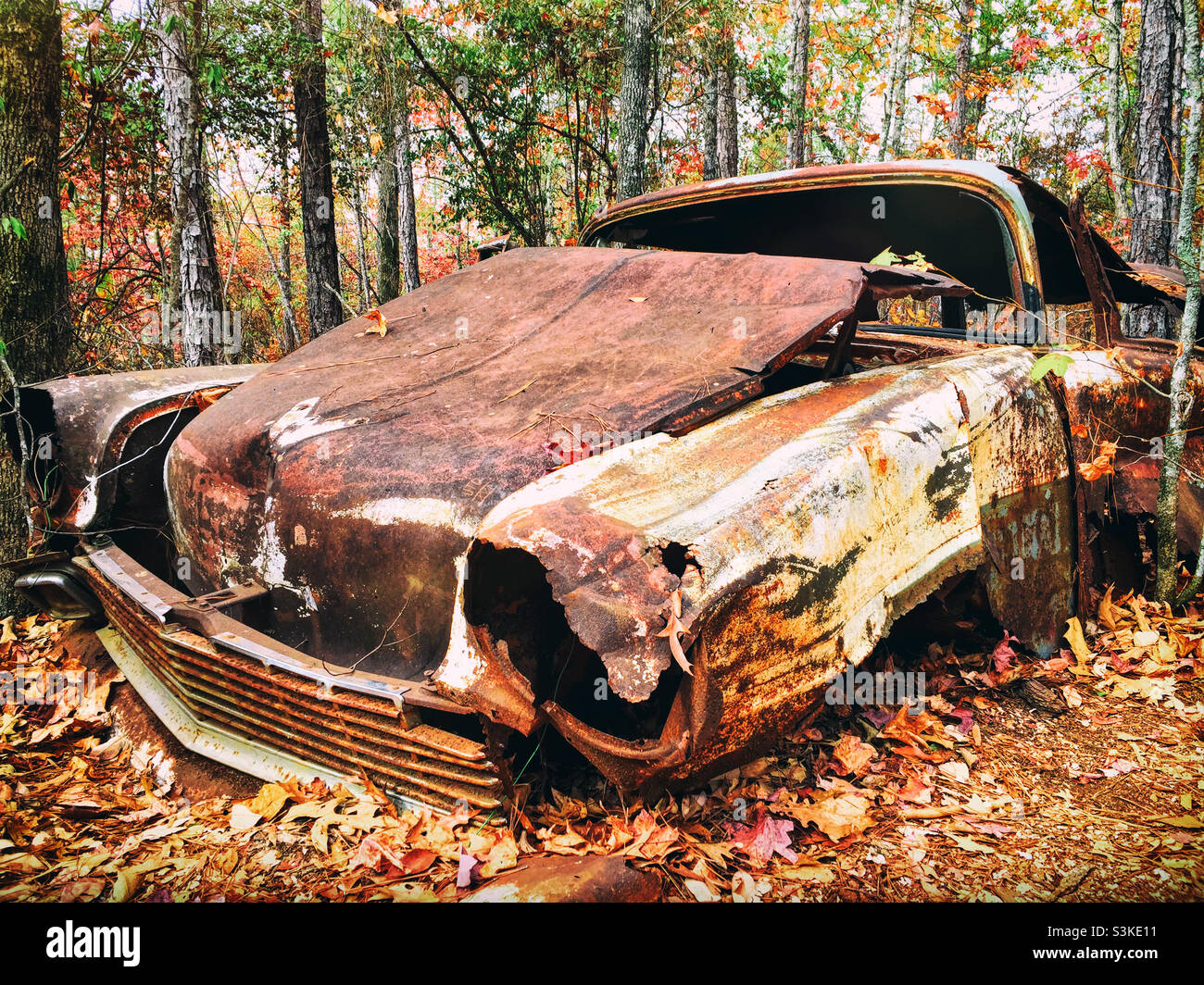 Abandoned car in woods hi-res stock photography and images - Alamy