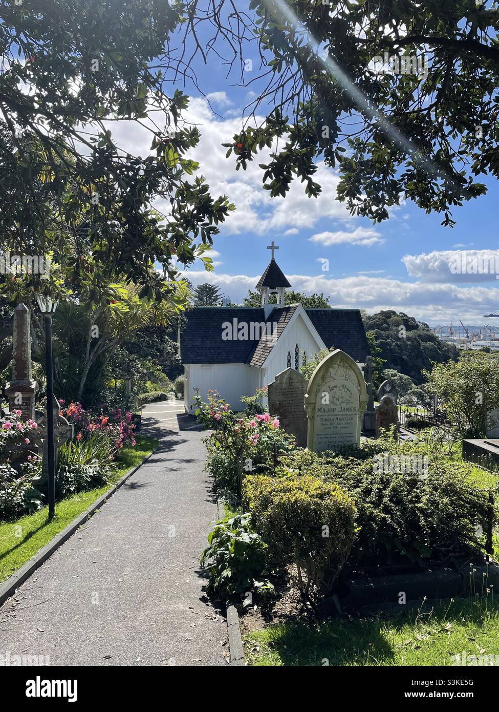 Views of auckland hi-res stock photography and images - Alamy