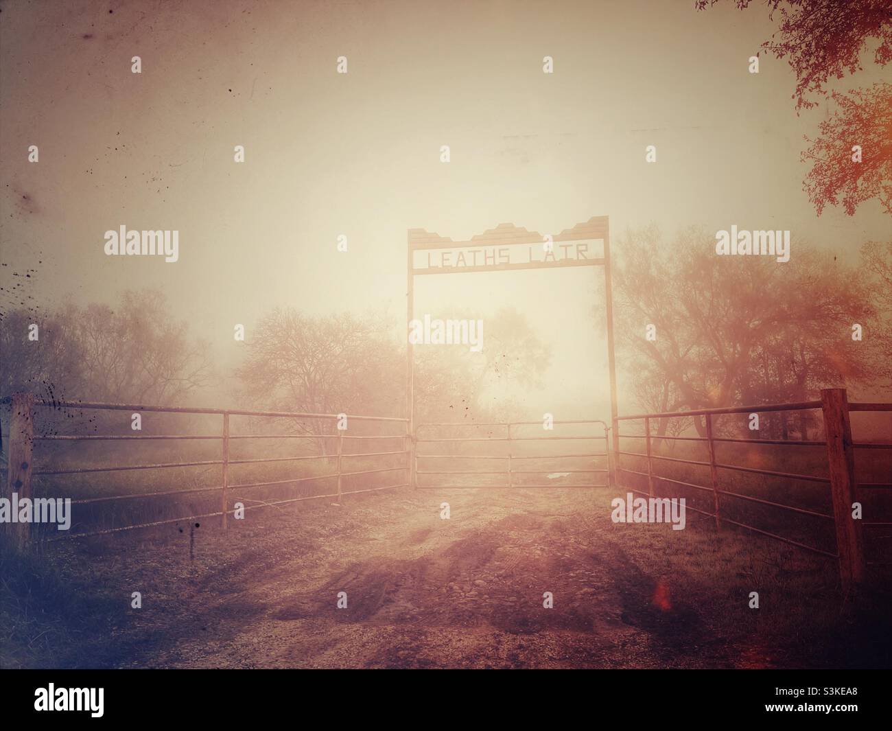 Dirt driveway hi-res stock photography and images - Alamy