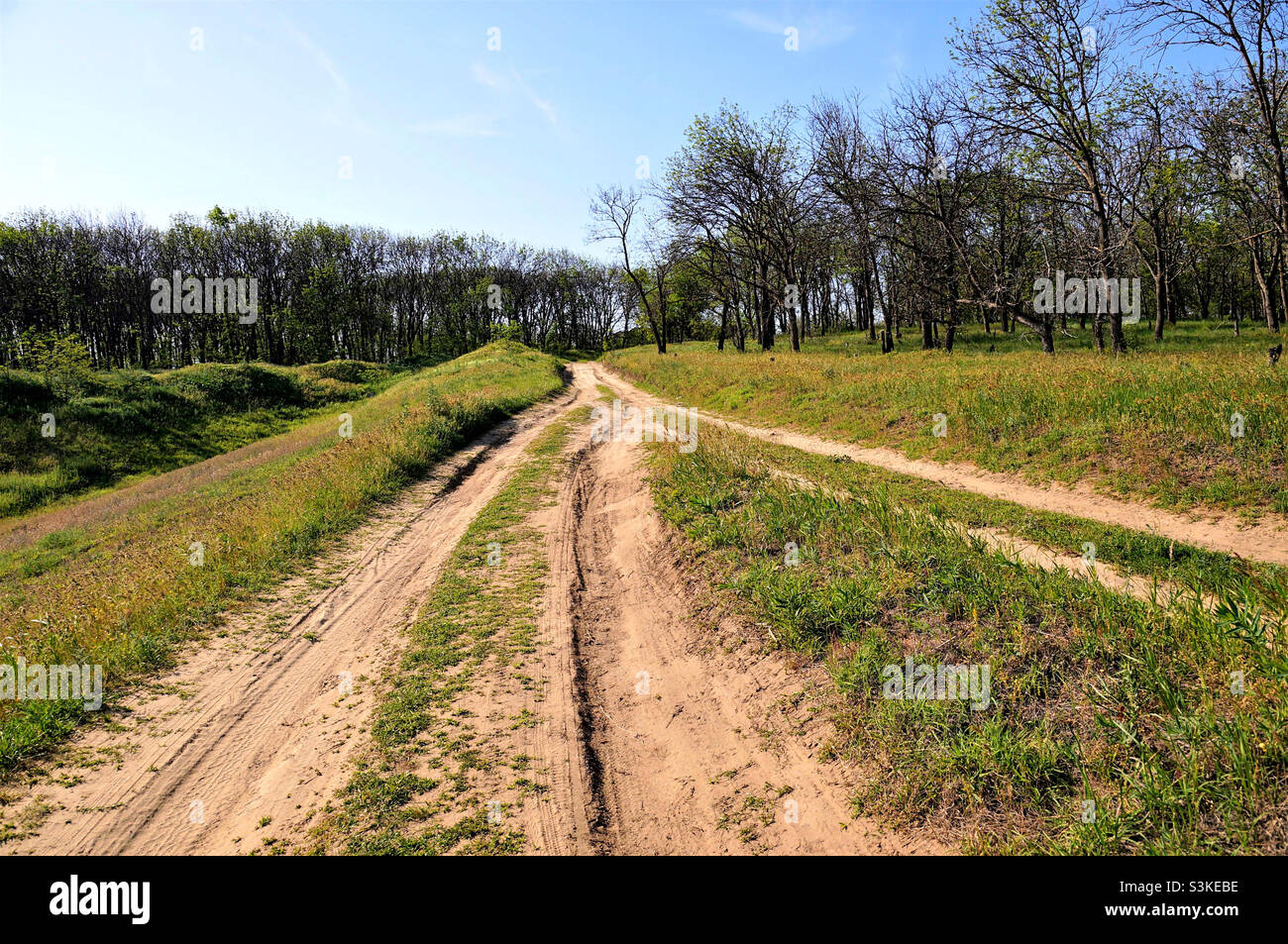 converging lines of field roads on a sunny day Stock Photo - Alamy