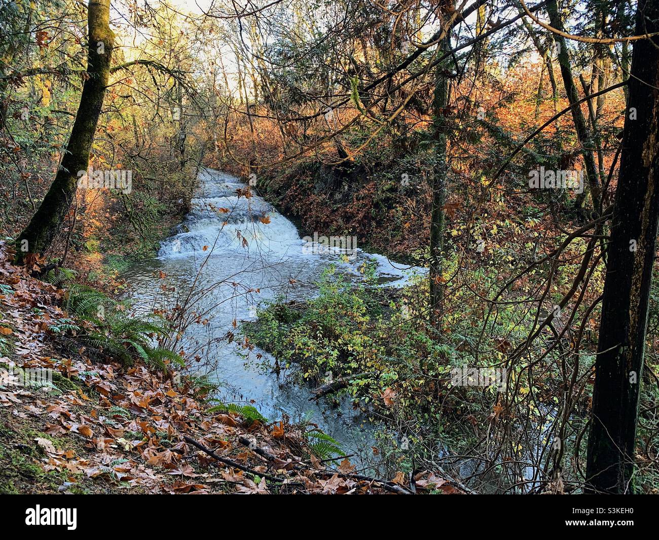 Duncan british columbia hi-res stock photography and images - Alamy