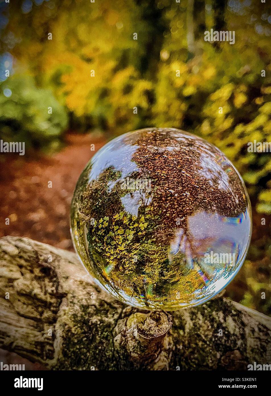Autumn through a lens ball Stock Photo - Alamy