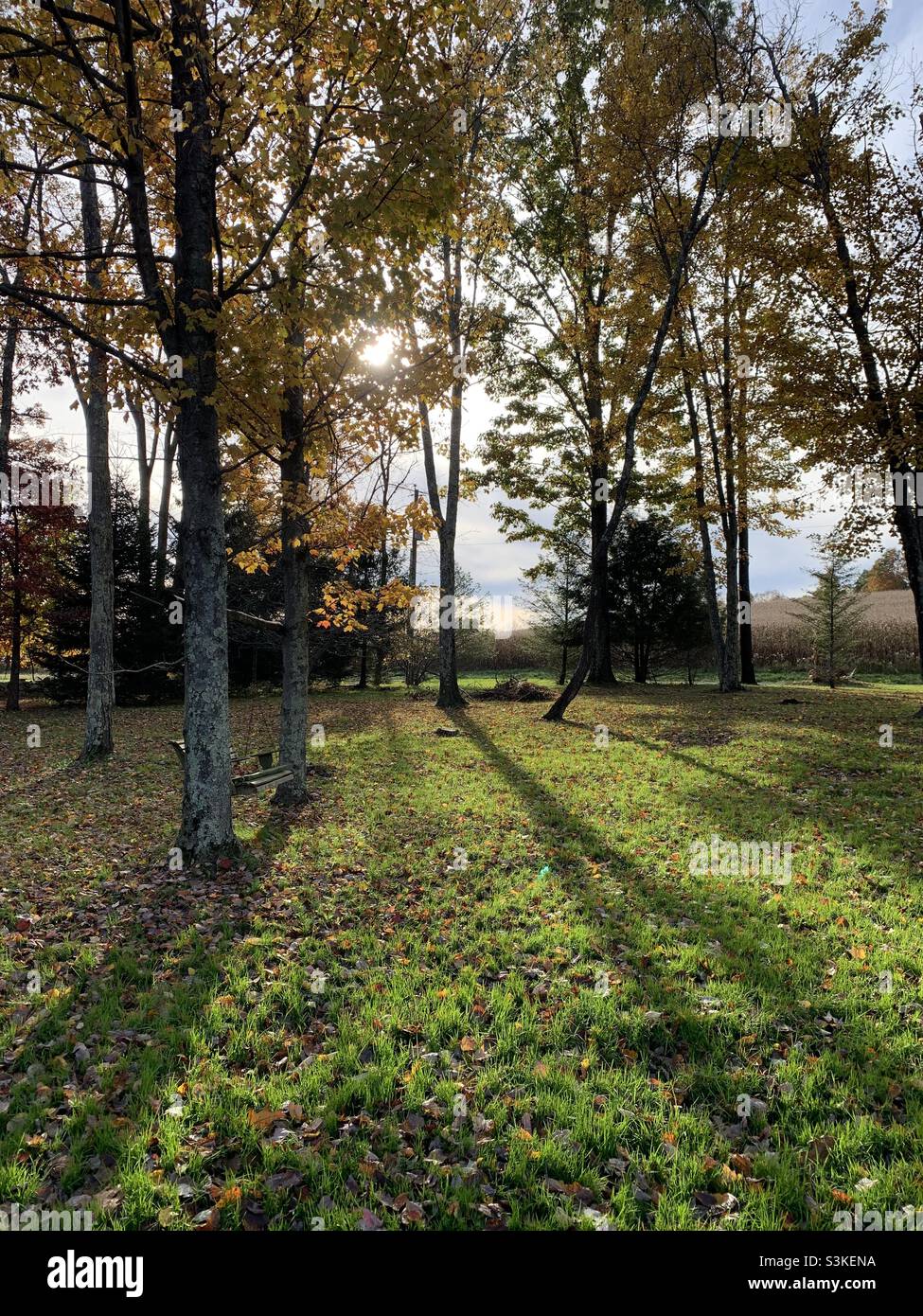 Pennsylvania sunset fall hi-res stock photography and images - Alamy