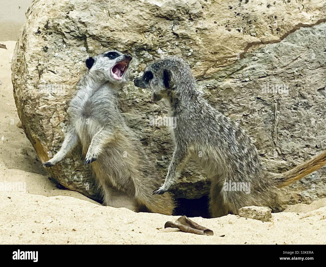 Back off hi-res stock photography and images - Alamy