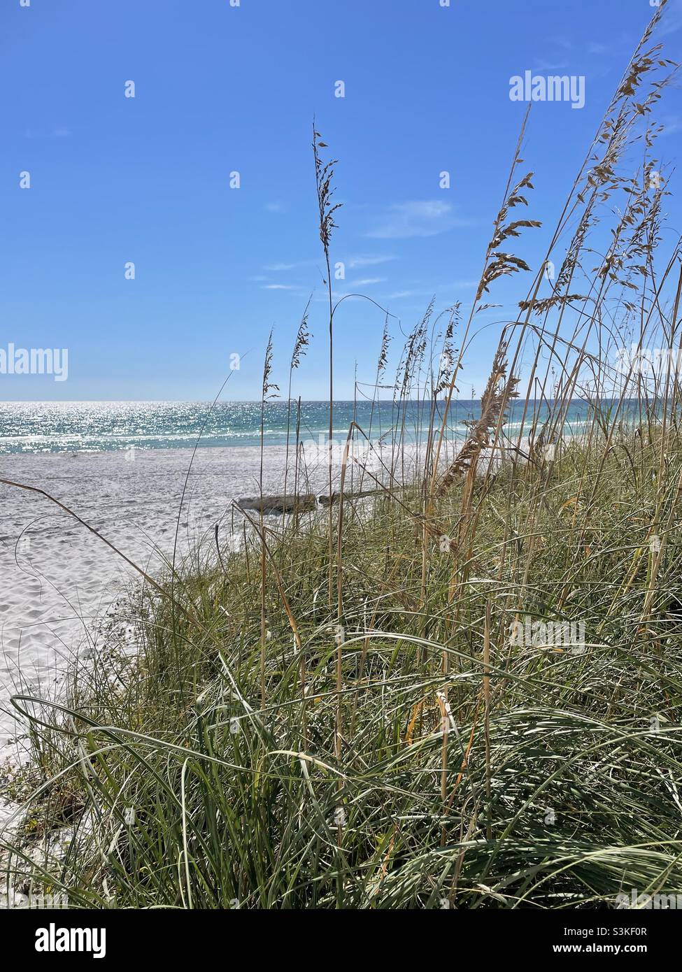Destin florida white sand hi-res stock photography and images - Alamy