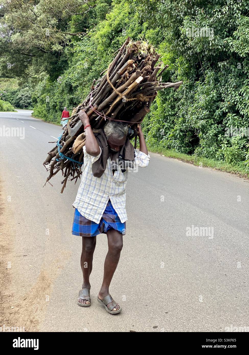 Man carrying wood forest hi-res stock photography and images - Alamy