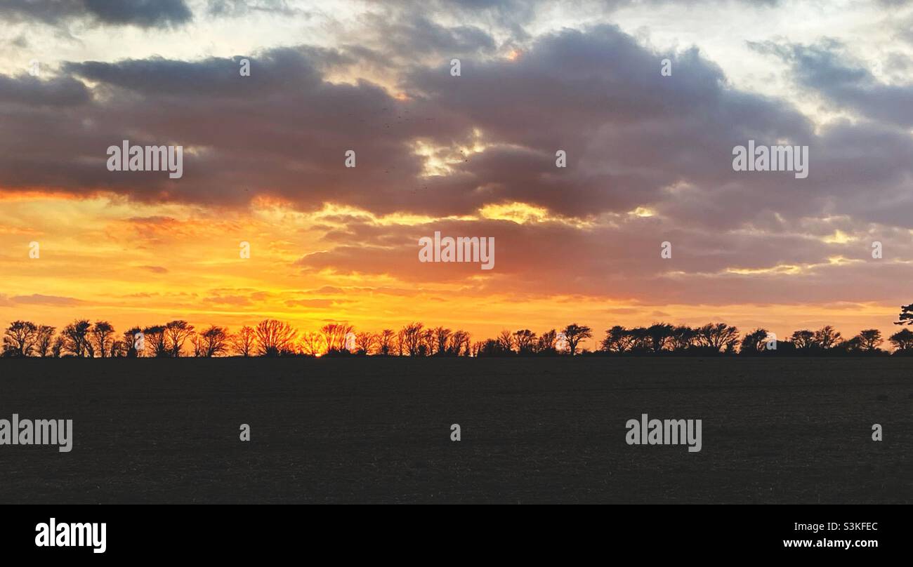 Beautiful golden glow hi-res stock photography and images - Alamy