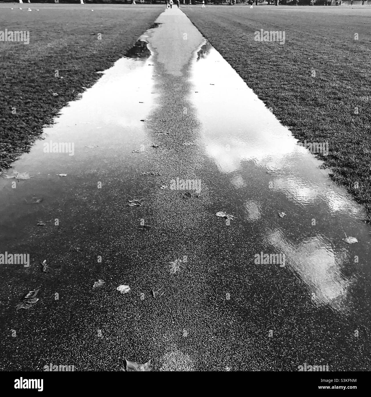 After the rain. Hyde Park, London Stock Photo - Alamy