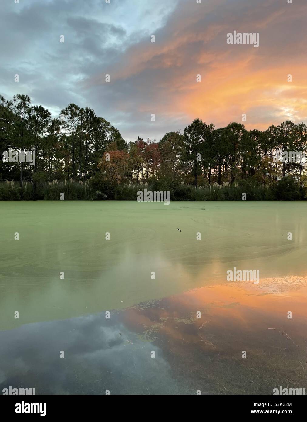 Colorful sunset skies reflecting on pond water with reflections and ...
