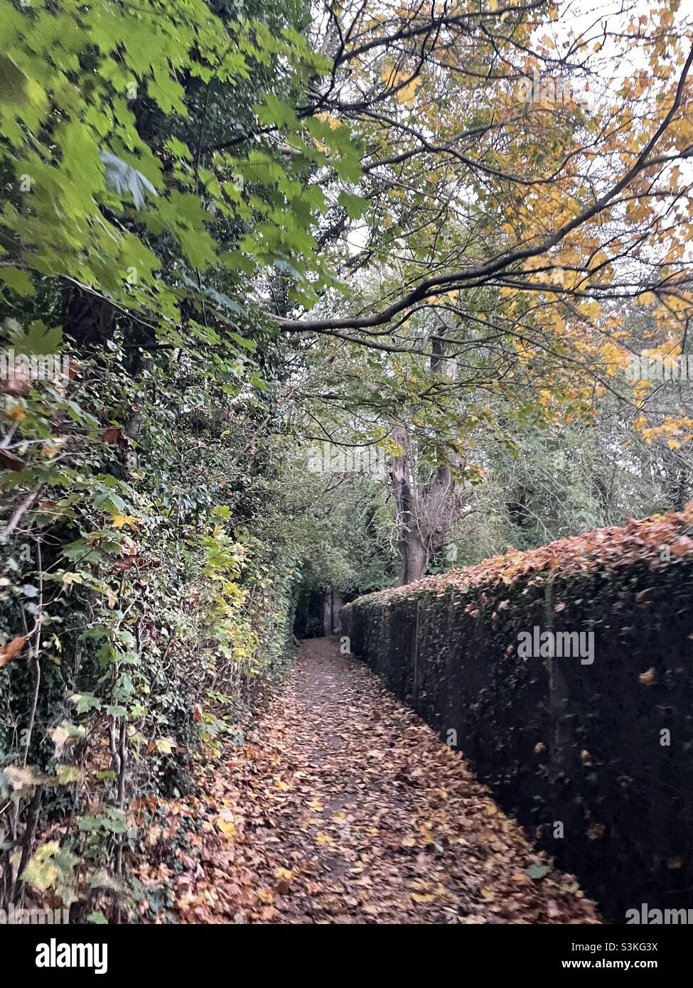 East sheen cemetery hi-res stock photography and images - Alamy