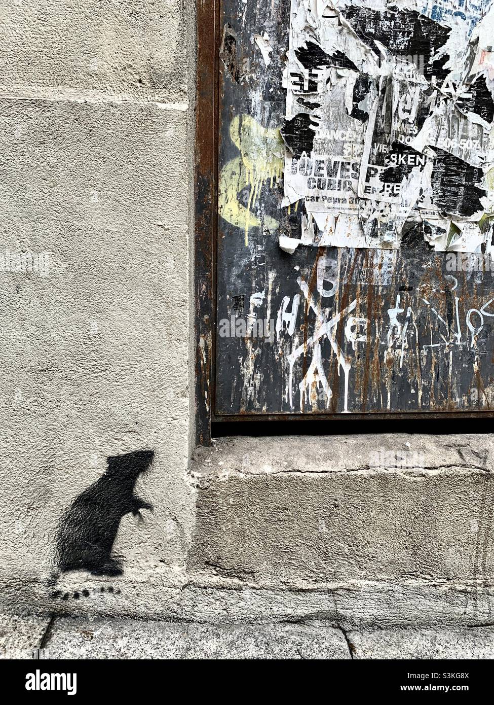 Street art as rat in Salamanca, Spain Stock Photo - Alamy