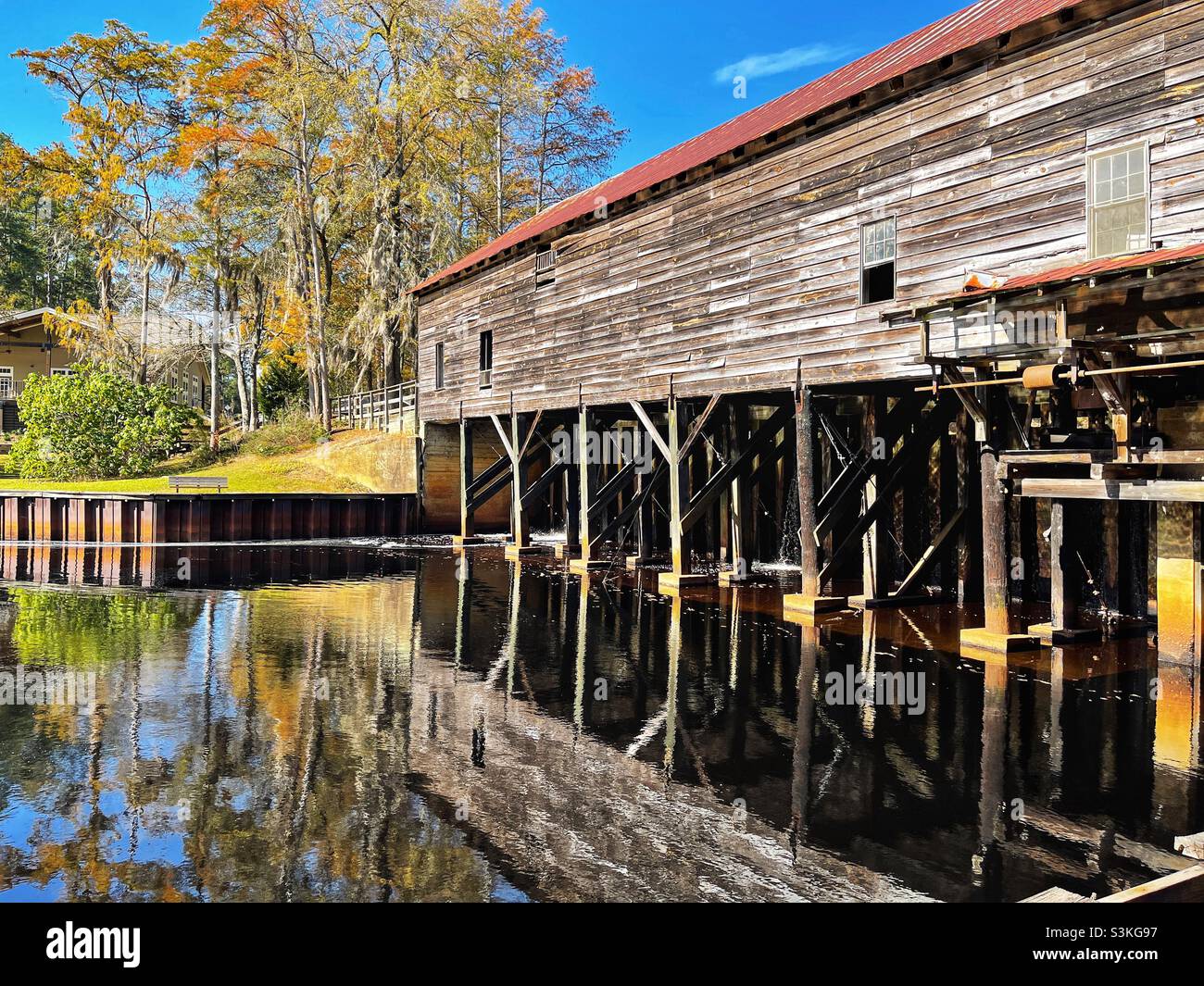 George smith state park georgia hi-res stock photography and images - Alamy