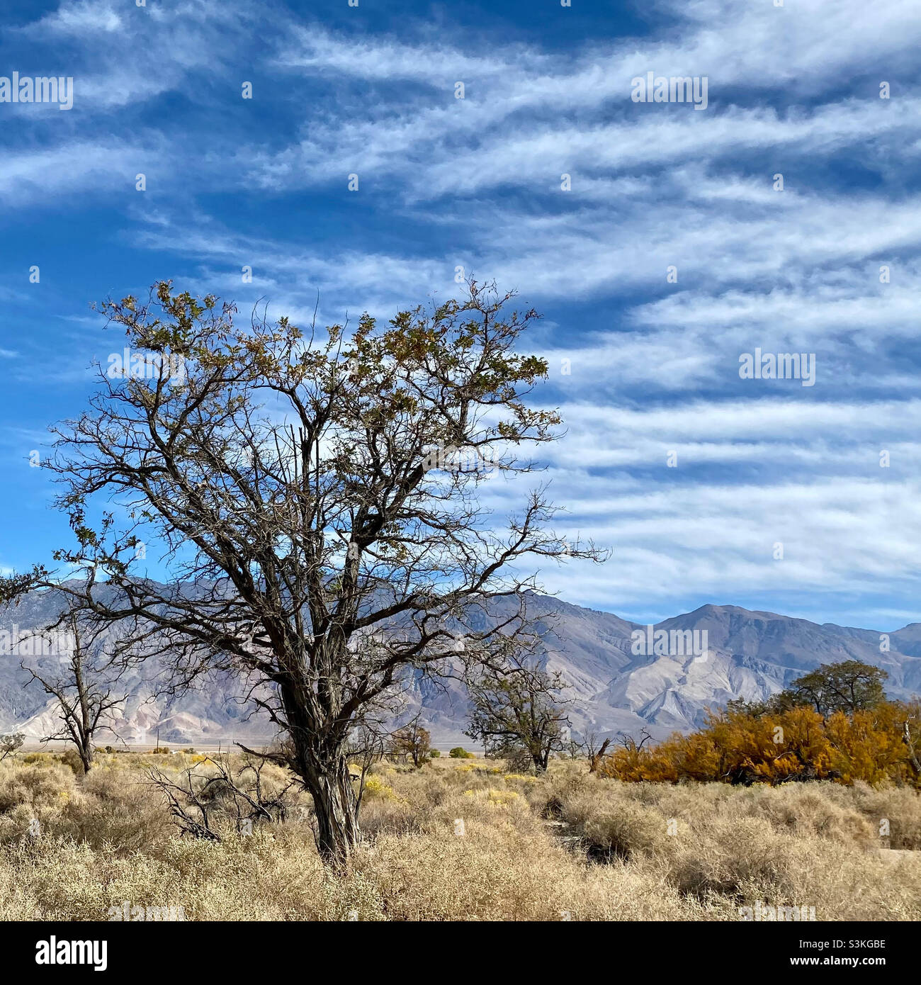 Desert color hi-res stock photography and images - Alamy