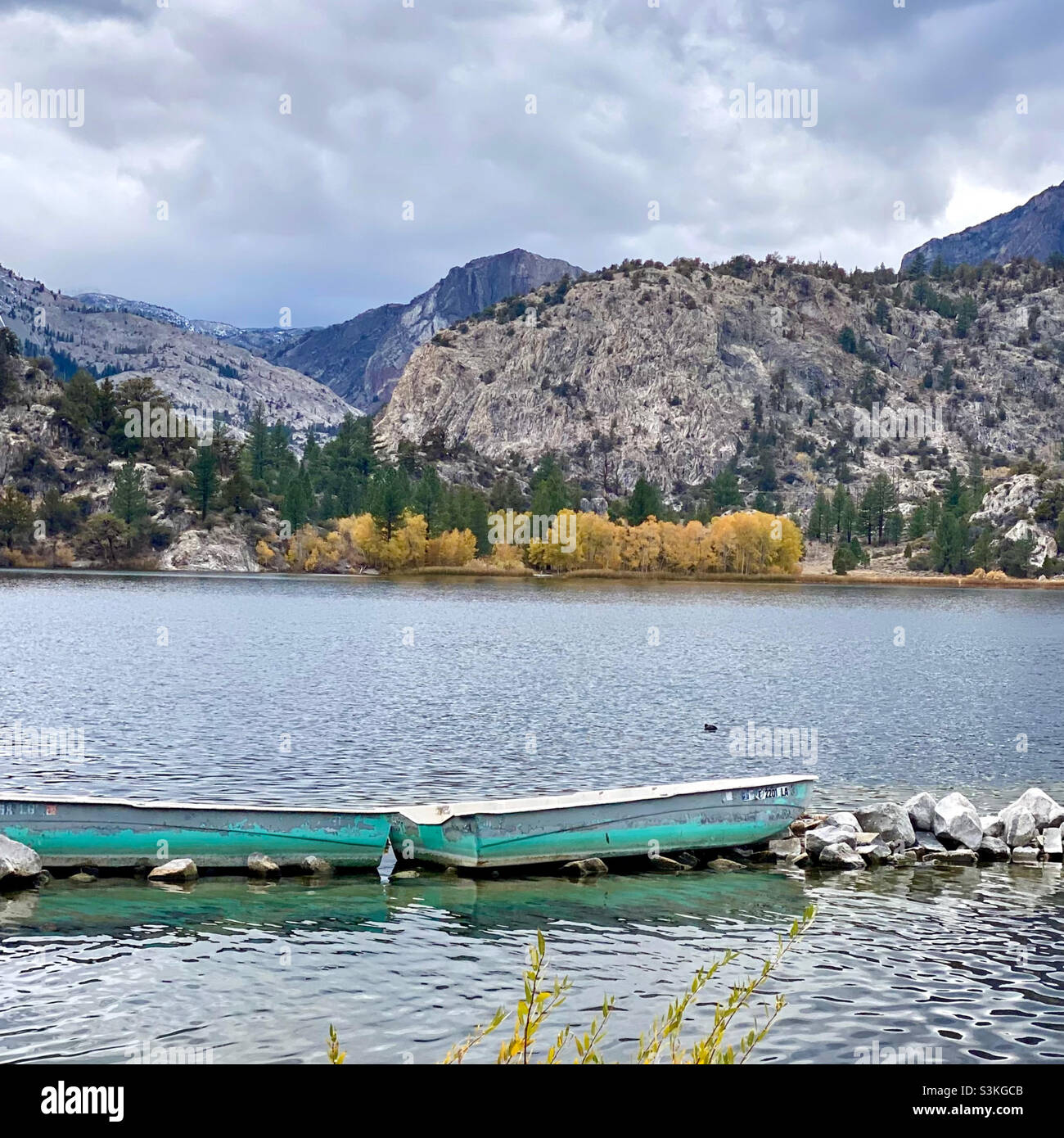 Fall in June lake Stock Photo - Alamy