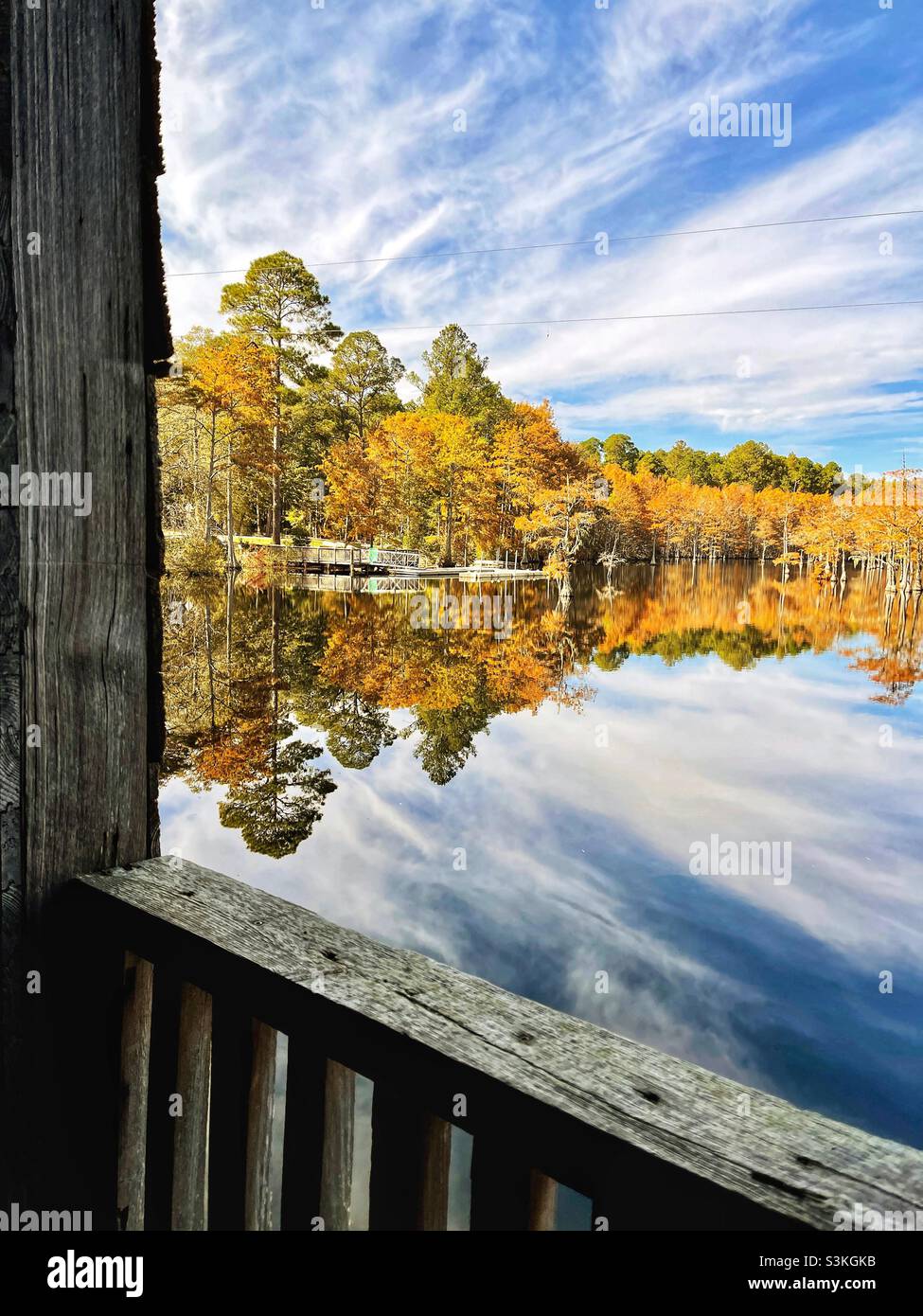 Beautiful autumn colored cypress trees as seen from inside a covered ...