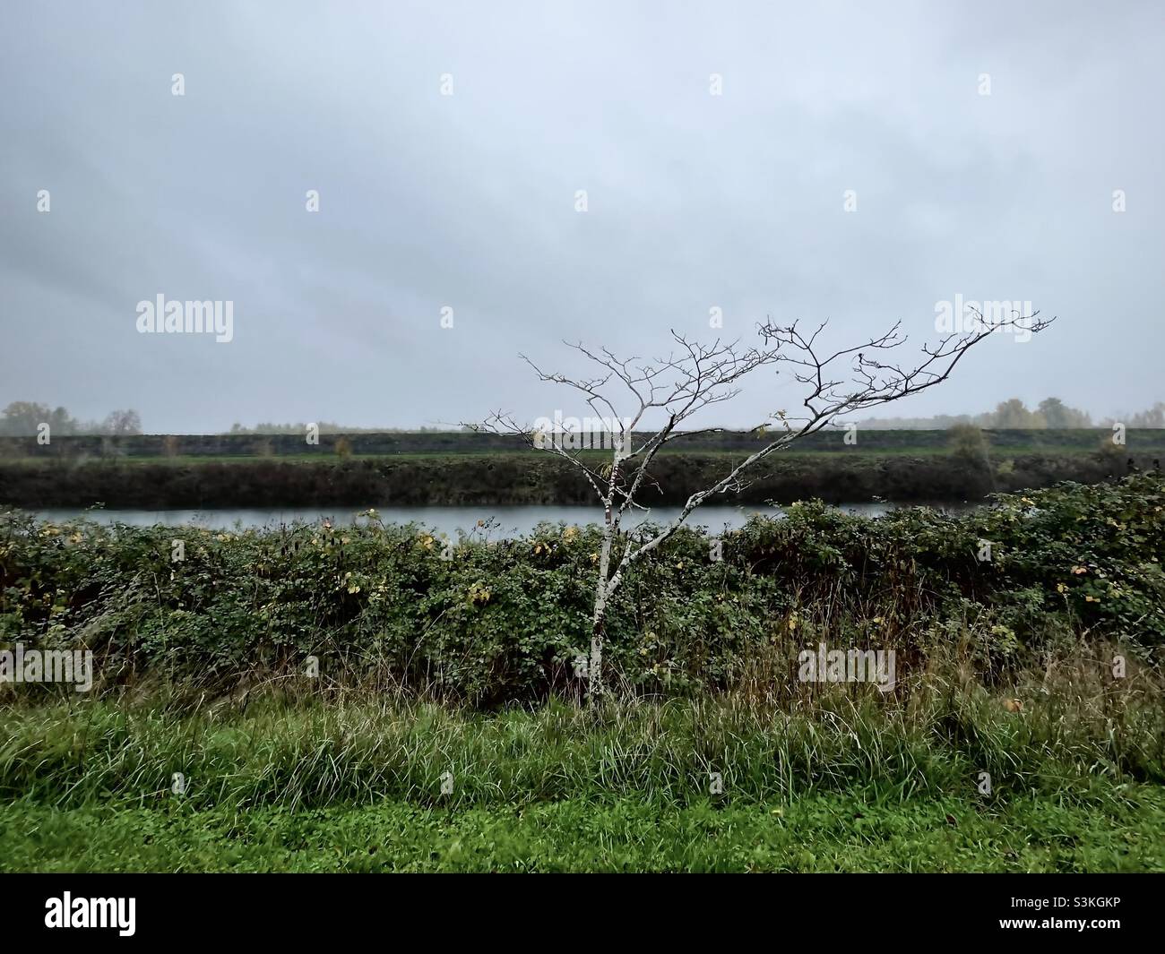 Lone tree sky storm hi-res stock photography and images - Alamy