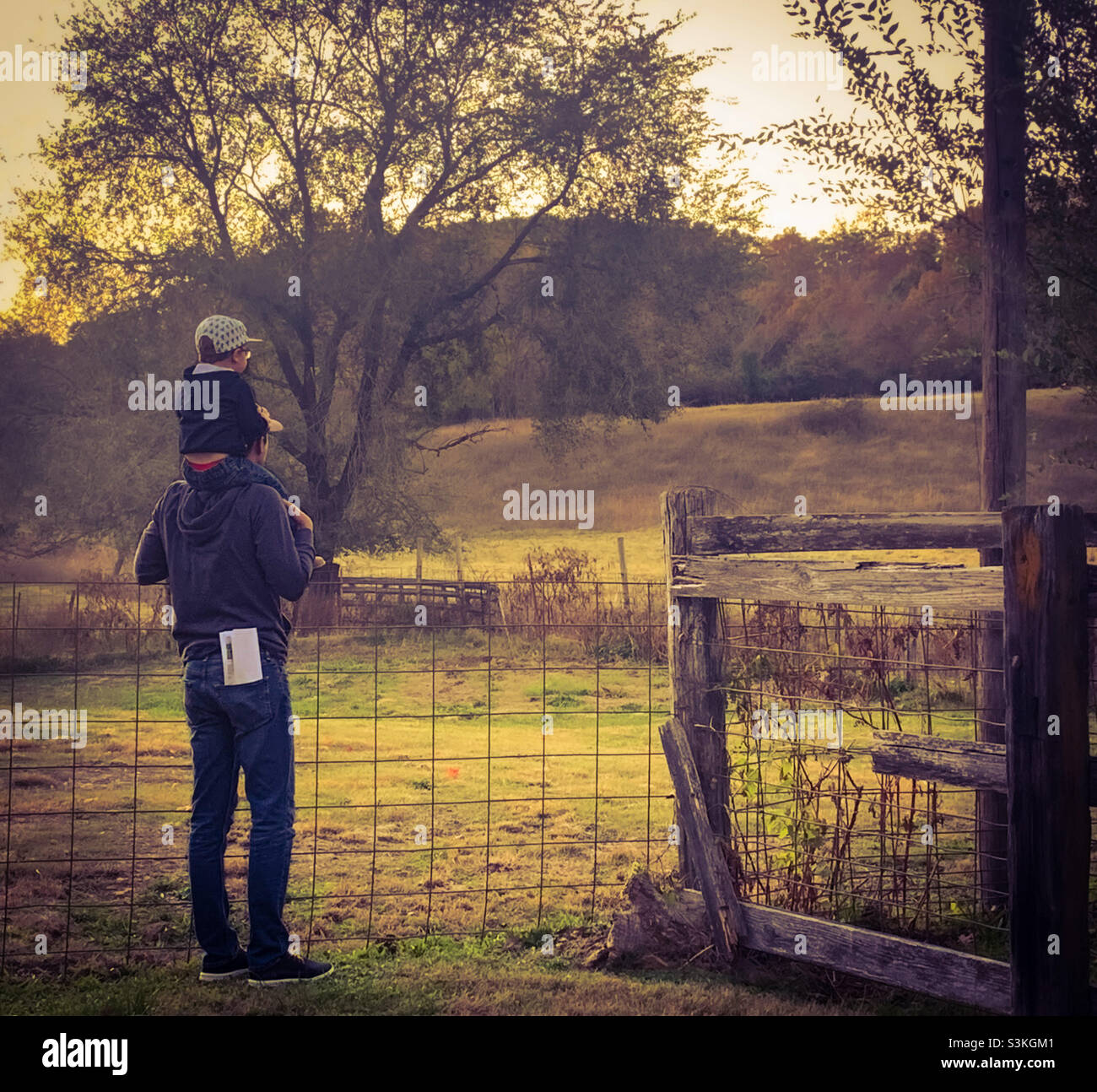 A day on the farm Stock Photo - Alamy
