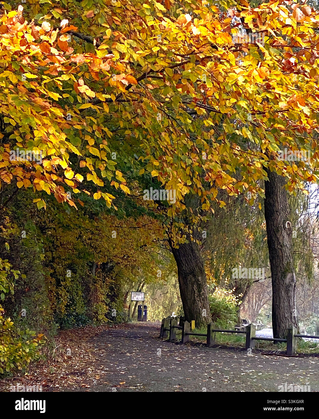 Moses country park hi-res stock photography and images - Alamy