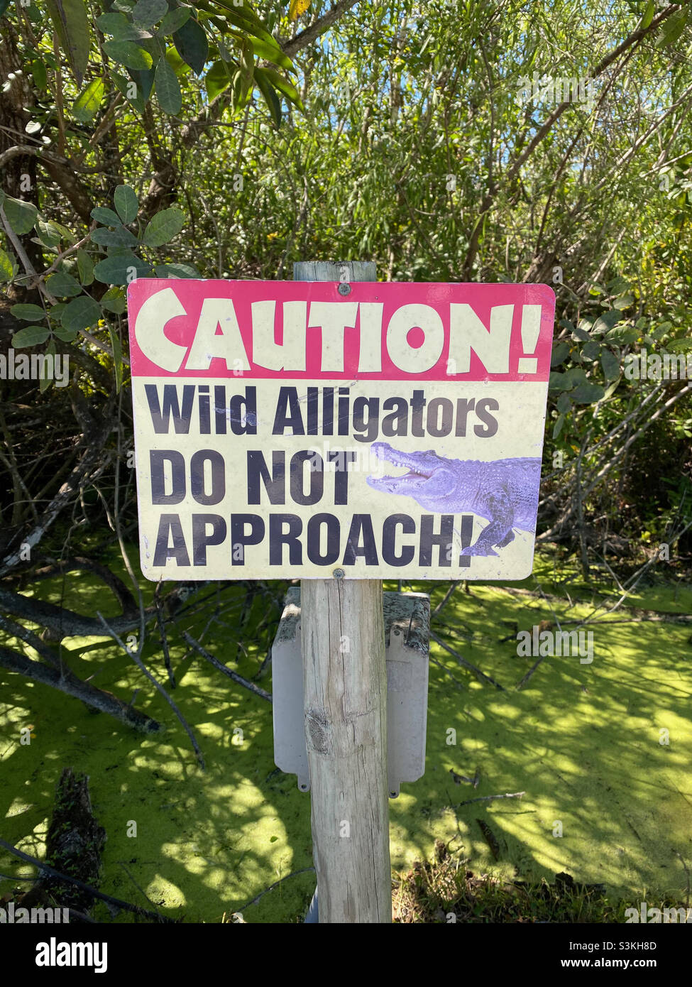 Danger alligators hi-res stock photography and images - Alamy