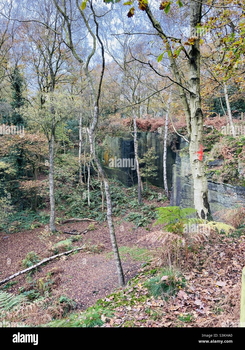 Helsby quarries Frodsham Stock Photo - Alamy