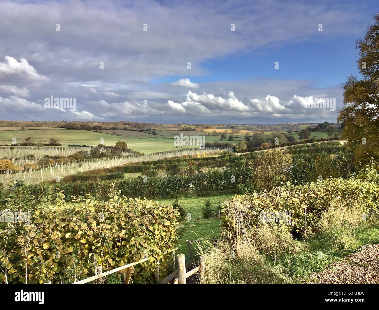 Cafe view hi-res stock photography and images - Alamy