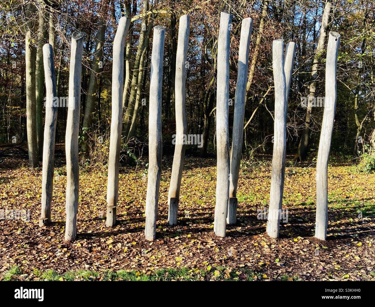 some logs placed vertically Stock Photo - Alamy