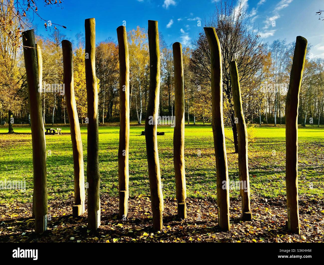 Group of logs hi-res stock photography and images - Alamy