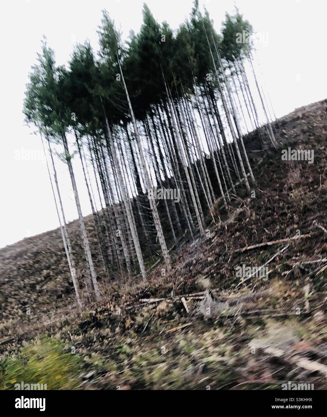 Stand standing tall hi-res stock photography and images - Alamy