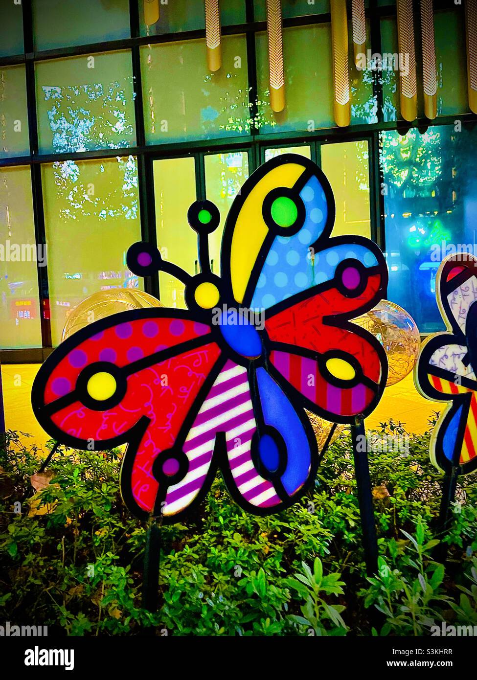 Rainbow butterfly hi-res stock photography and images - Alamy
