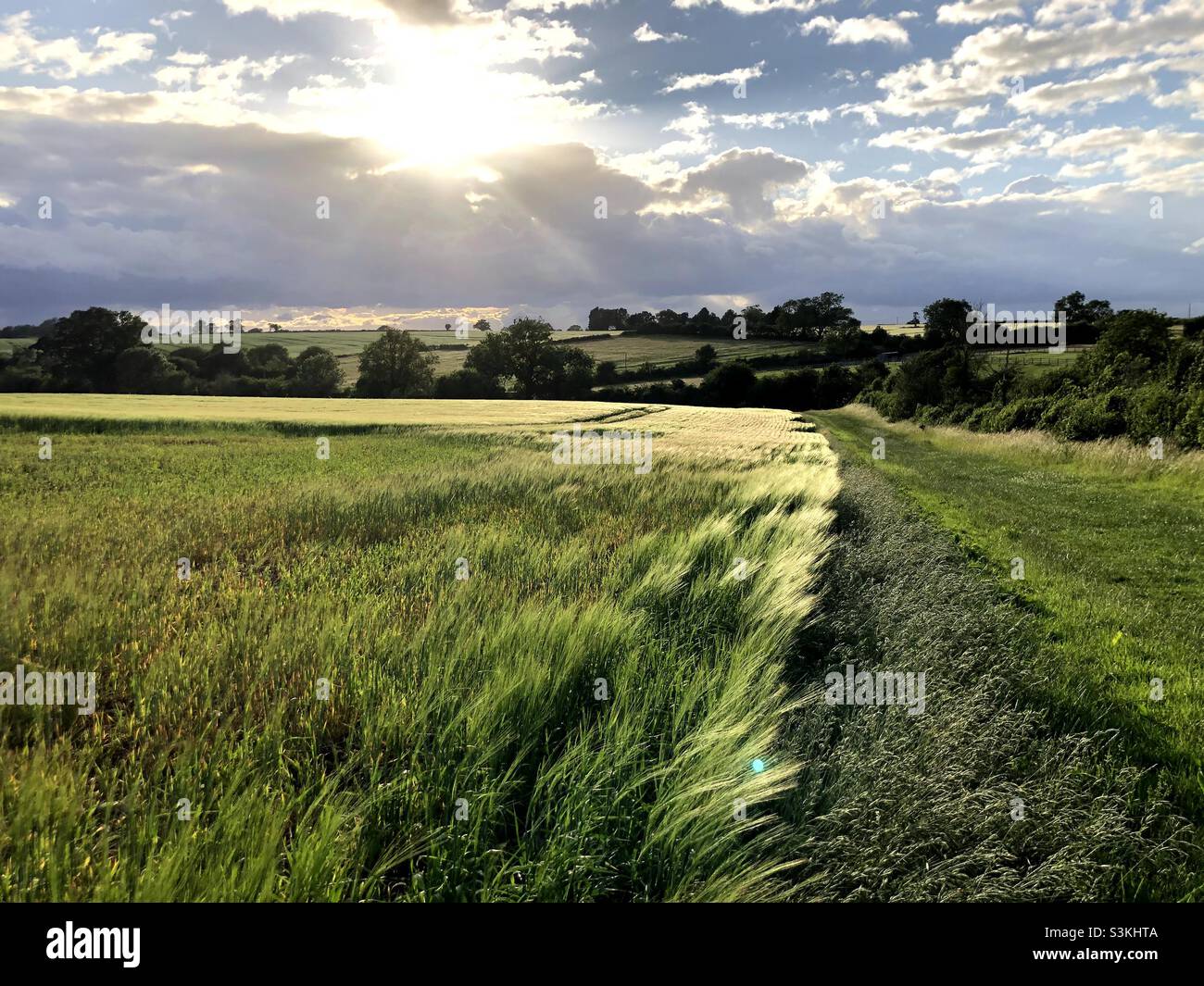 Fields in the countryside hi-res stock photography and images - Alamy