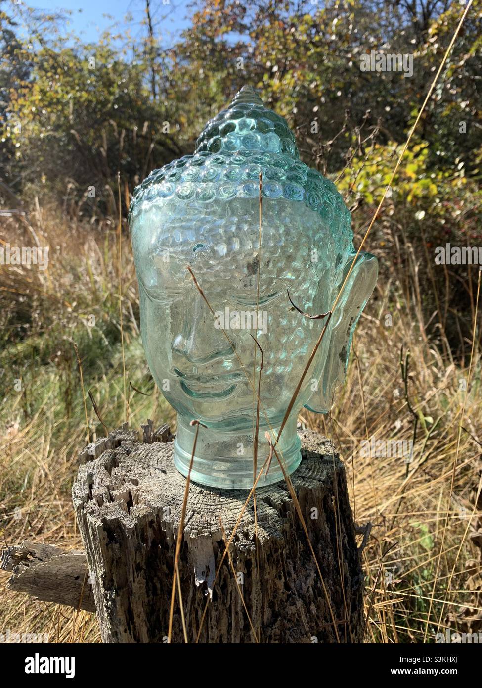 Glass Buddha Statue Stock Photo - Alamy