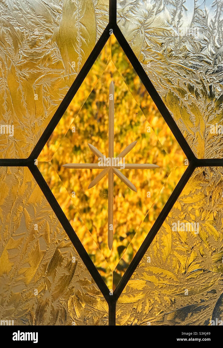 A blurred background of yellow autumn foliage, as seen through a ...