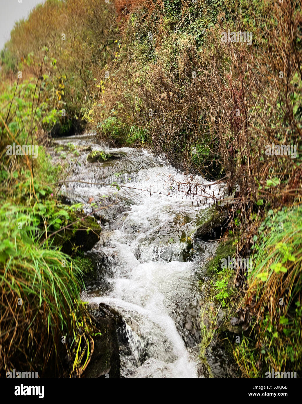 Waterfall at tintagel castle hi-res stock photography and images - Alamy