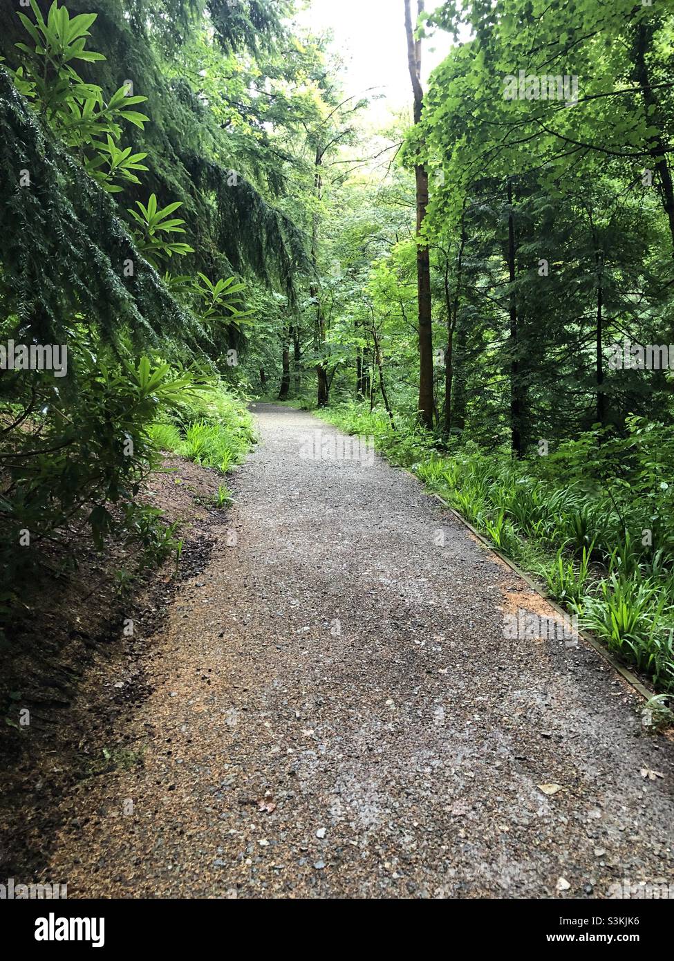 Nature walks hi-res stock photography and images - Alamy