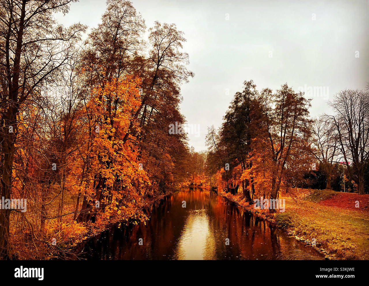 Autumn on water Stock Photo - Alamy